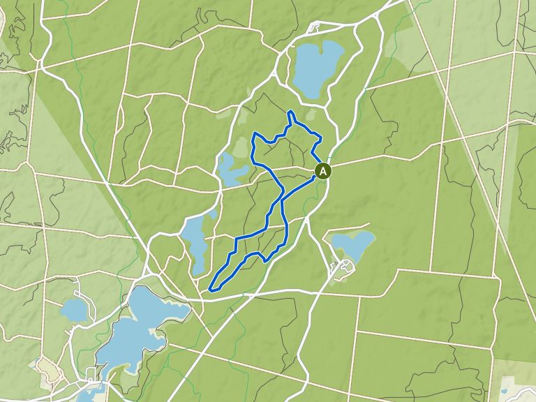 Bentley Loop Trail – Myles Standish State Forest | hardlooproute | Komoot